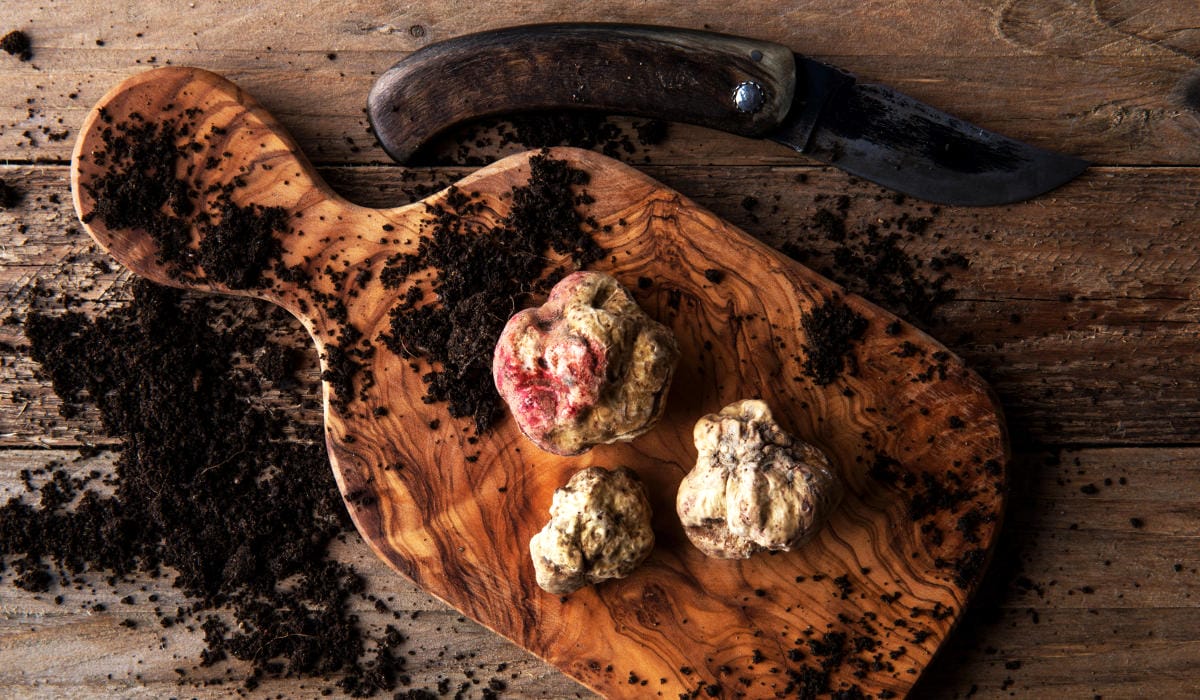 These are some of the worldâ€™s best ingredients that should be the ...