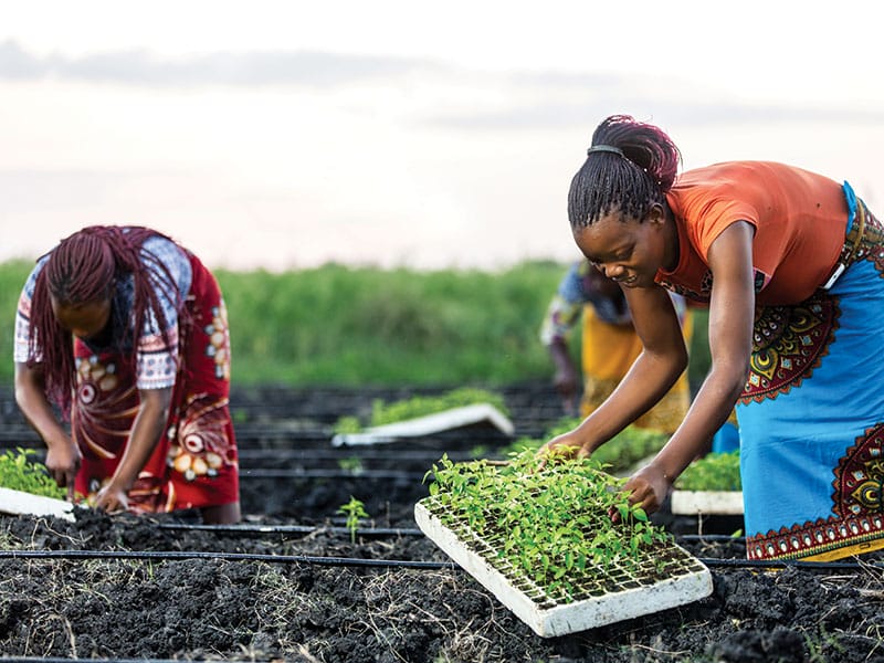Nando's Cultivates A Taste For Social Responsibility - The Peak Malaysia