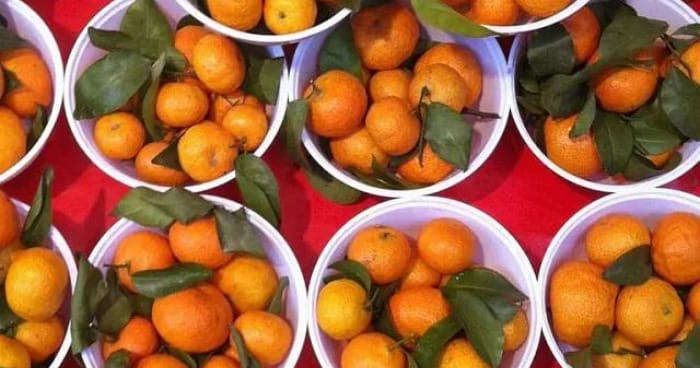Foodie Guide: How to choose mandarin oranges for Chinese New Year | The ...