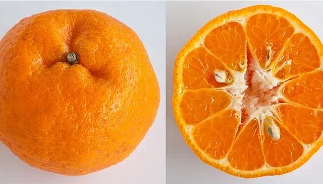 Foodie Guide: How to choose mandarin oranges for Chinese New Year | The ...