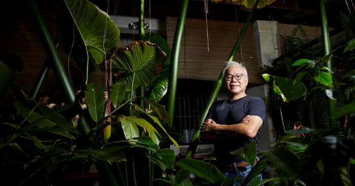 InCH – Gardens of Imagination By Inch Lim Is A Tale of Late-Blooming ...