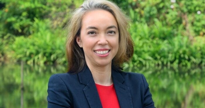 How Nandina REM Makes New Aeroplanes From Old Aeroplanes | The Peak Malaysia