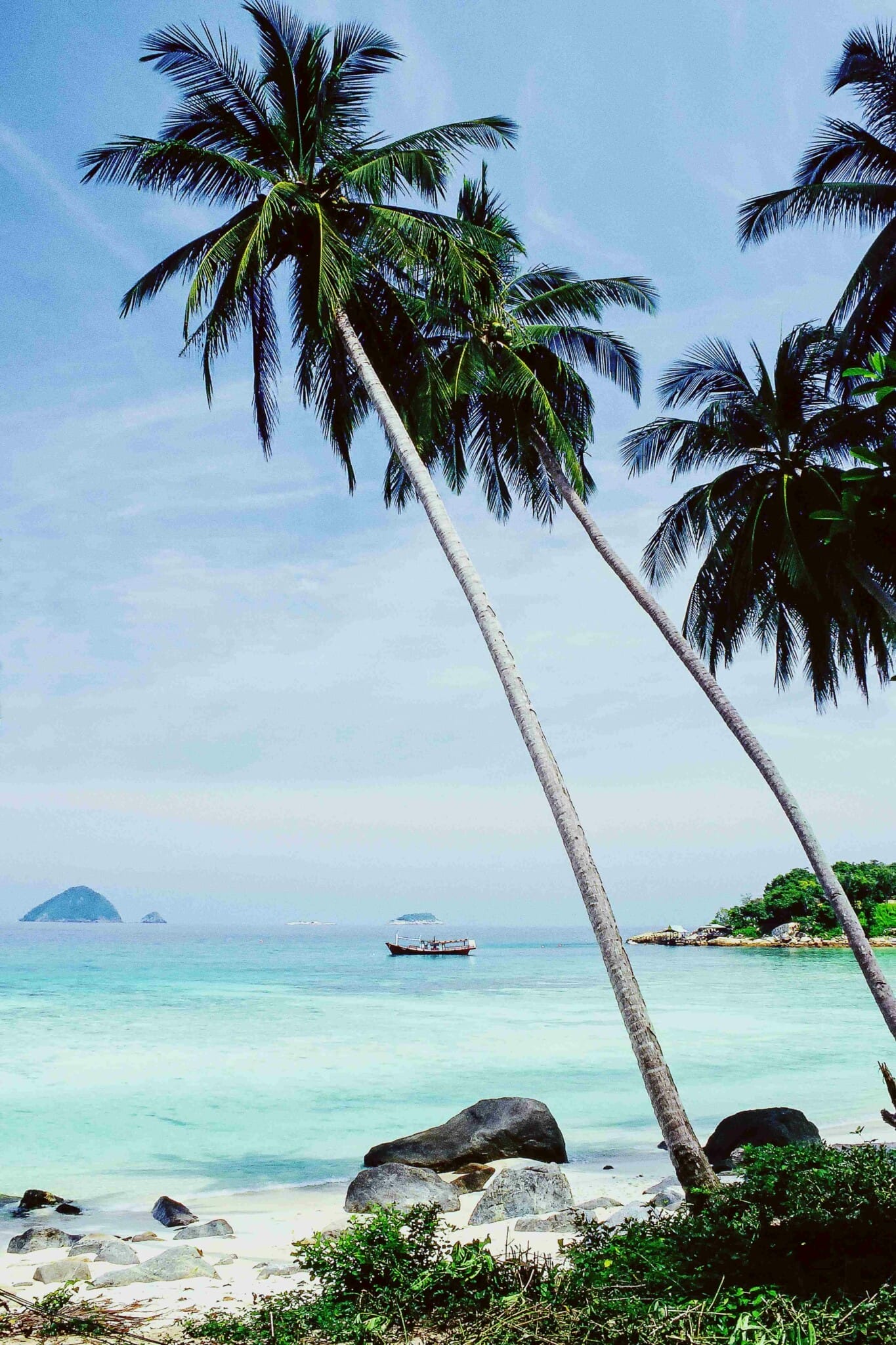 An Intimate Conversation With Dina Zaman, The Muse Behind "King of the ...