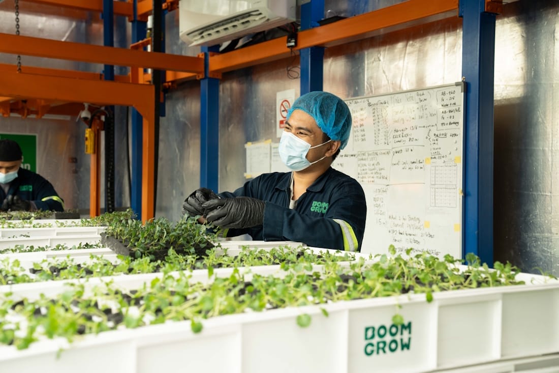 Farm To Table, Reinvented: Inside The Smart Farms Of BoomGrow